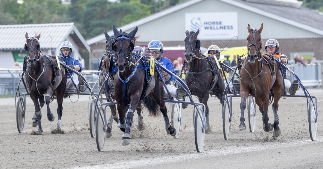 Fornem V75 Winter Burst i Skive, mens Aarhus slutter sæsonen 2023. Se ...