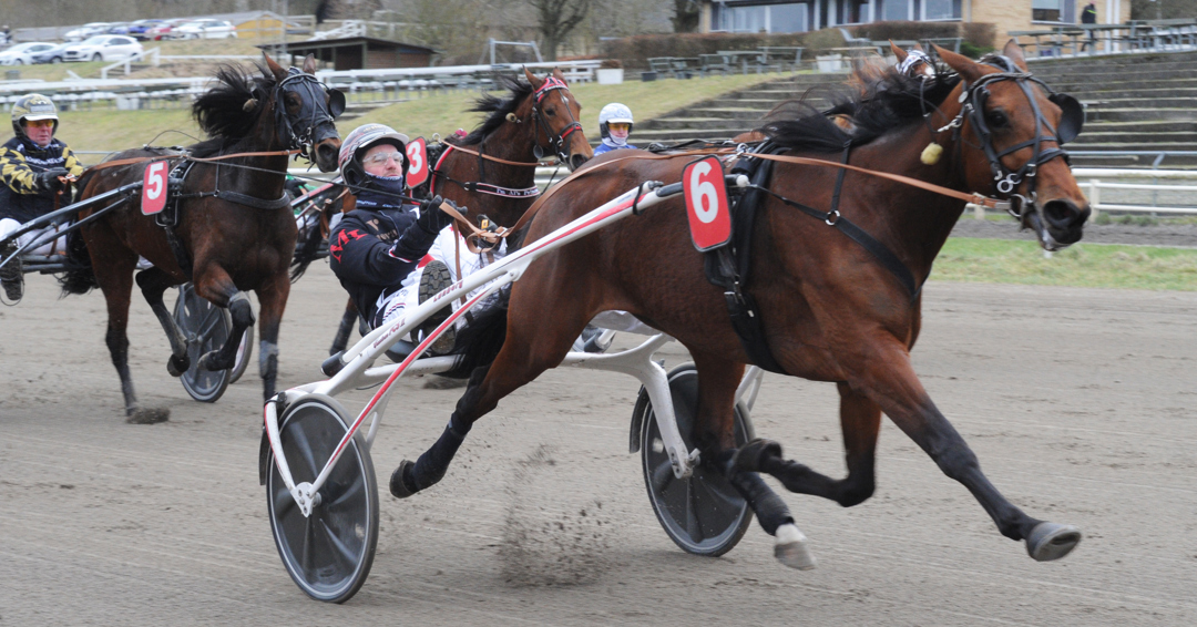 Bet25 og Dansk Hestevæddeløb kårer Kvartalets Profil: Jesper P. Nielsen