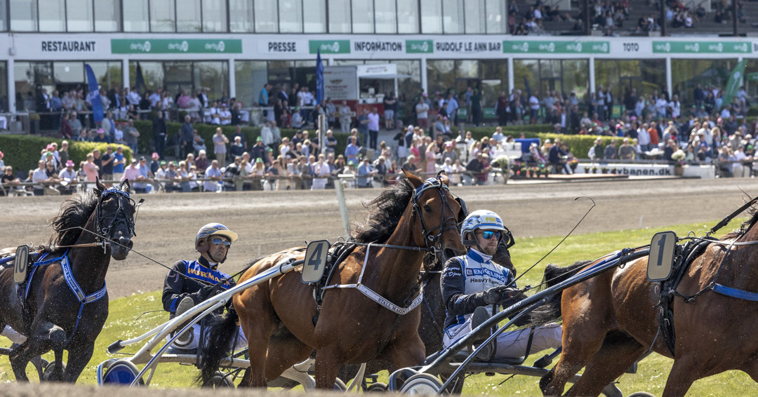 Nedtællingen til årets Copenhagen Cup er i gang